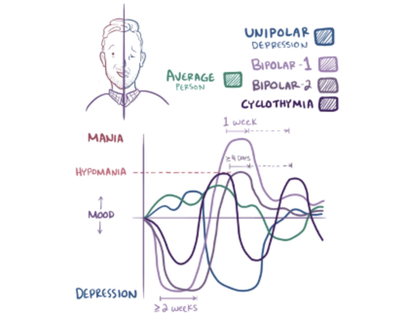 Bipolar disorder: everything you need to know - Mental Health for Romania